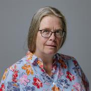 Ute Schuster Teaching Activities | University of Exeter