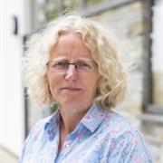 Jane Wills | About | University of Exeter